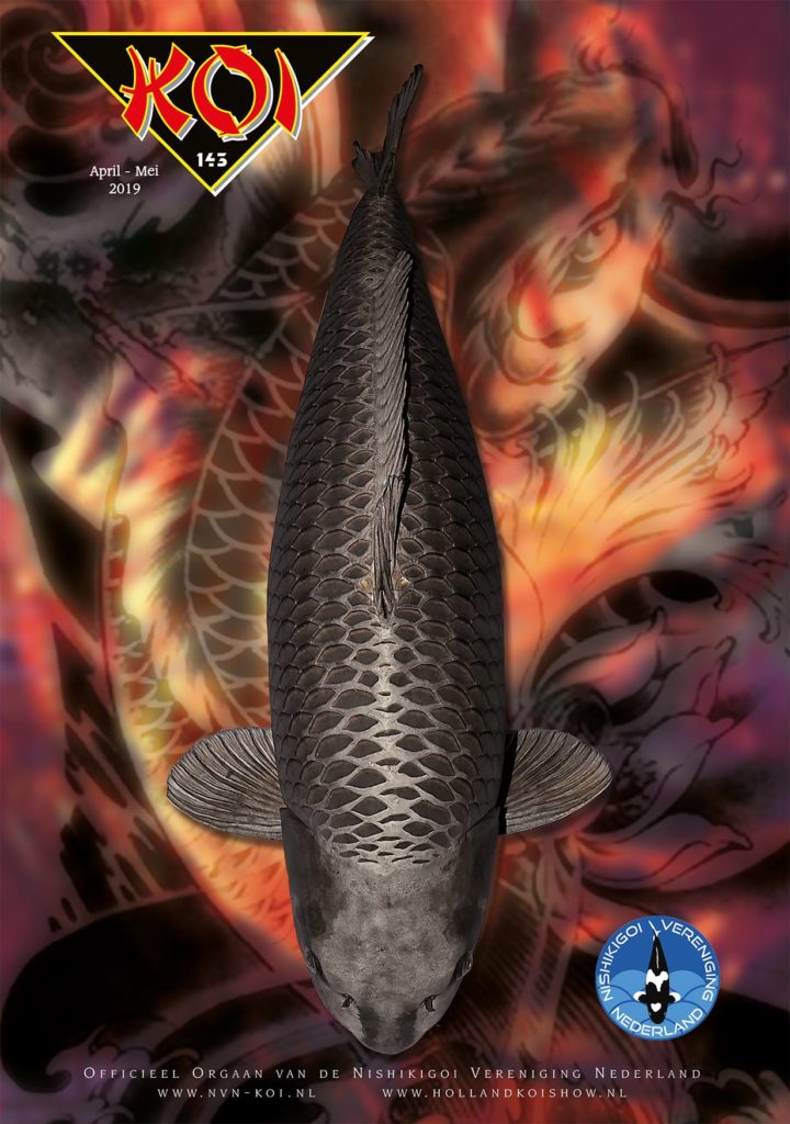 KOI magazin (NVN) előfizetés 1 évre - Koi Mánia Székesfehérvár