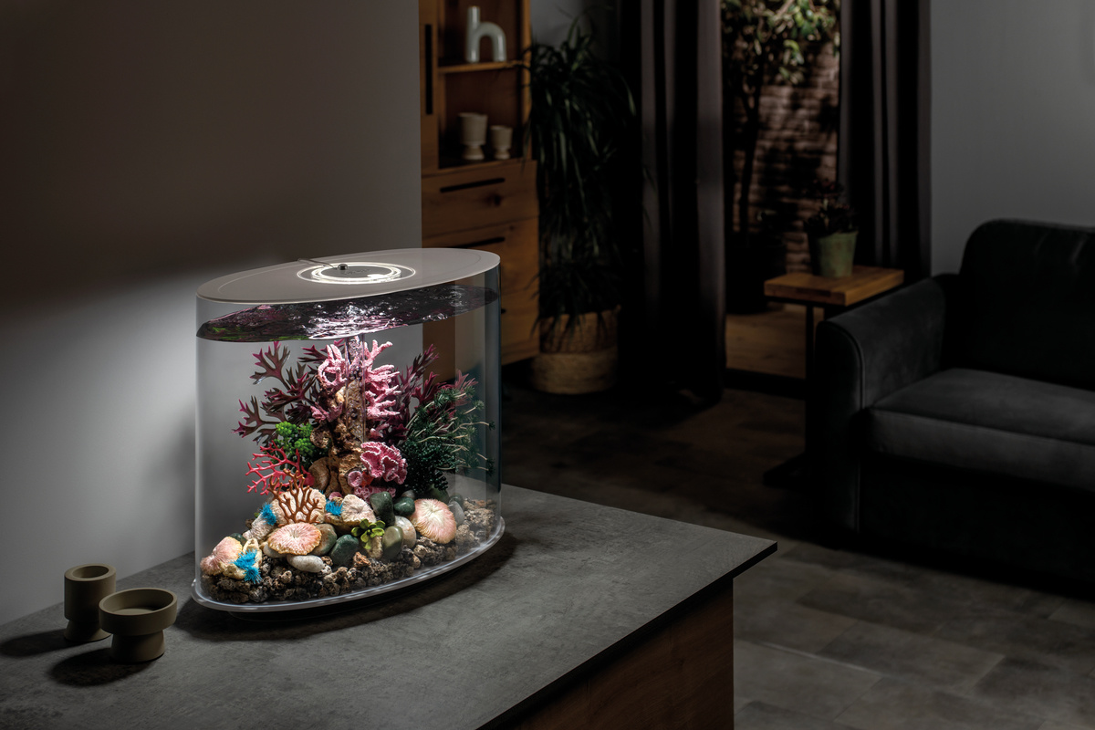 Akvárium, Oase biOrb LOOP 30 MCR fehér tetővel, all in one akvárium ...